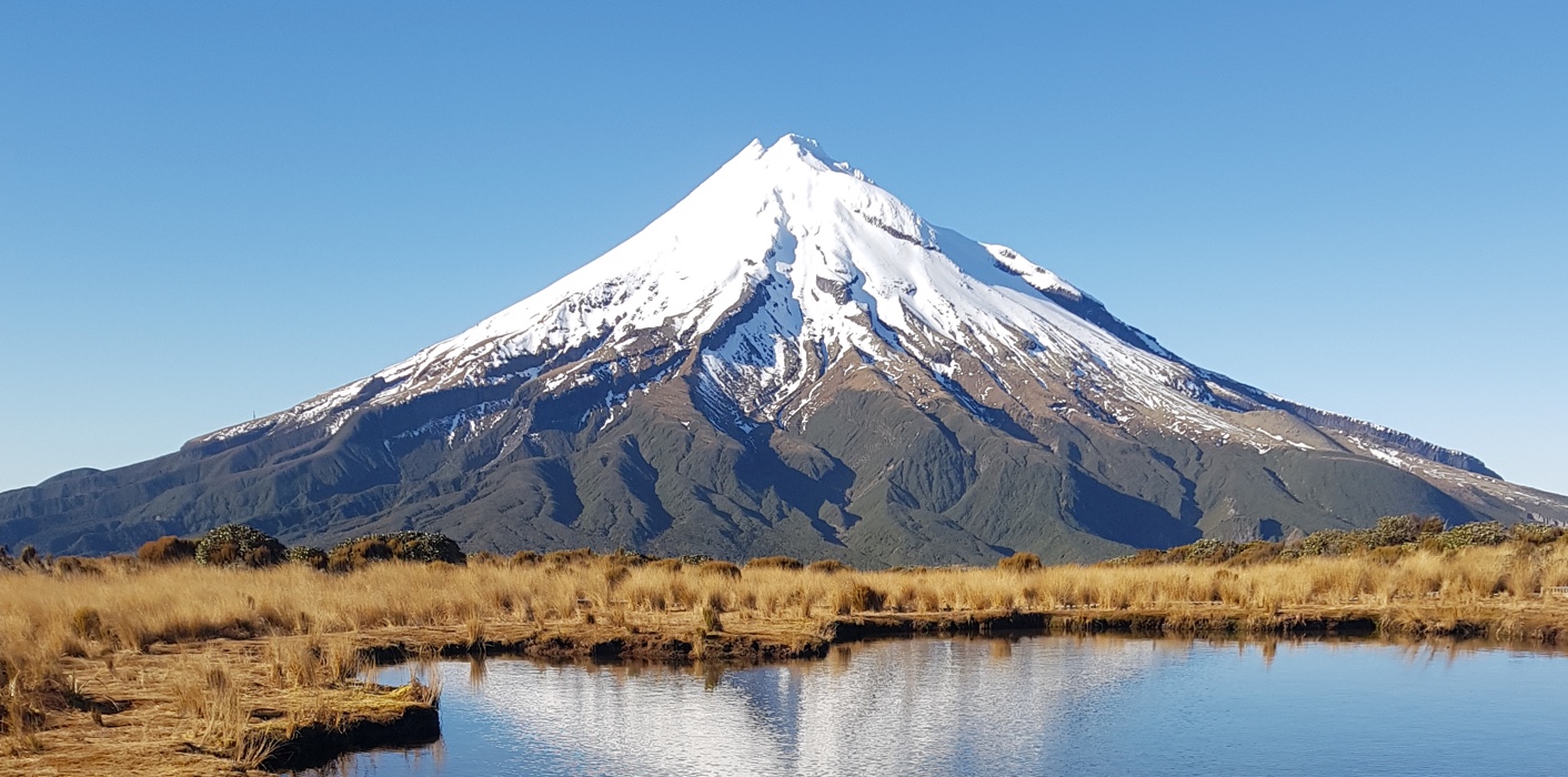 Wild For Taranaki | A Community Commitment in Taranaki