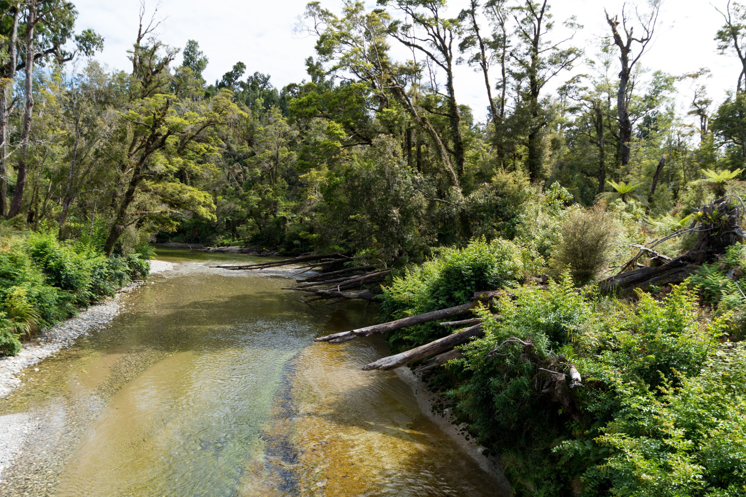 Our Members - Wild For Taranaki